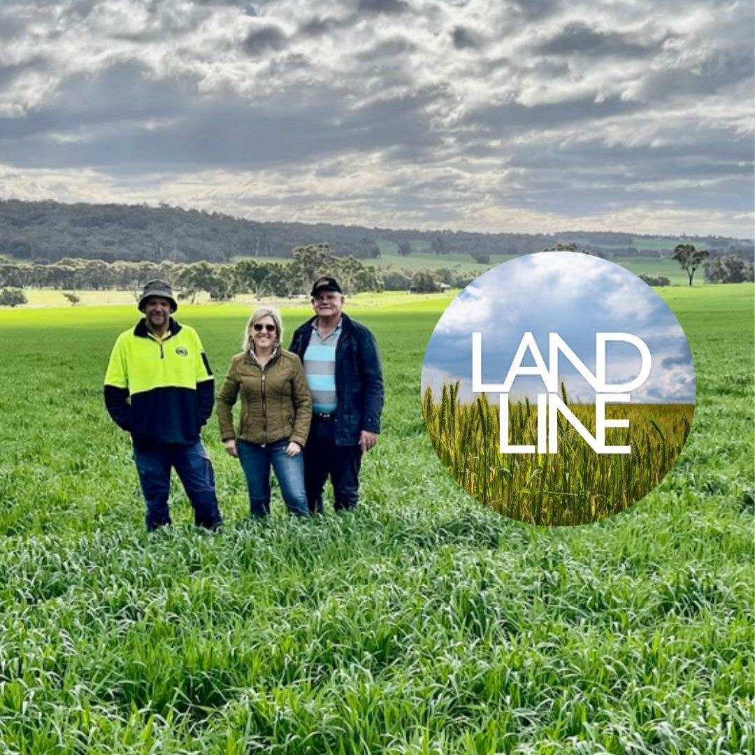 GF Oats as seen on ABC’s Landline: A Story of Aussie Farmers & Communi ...